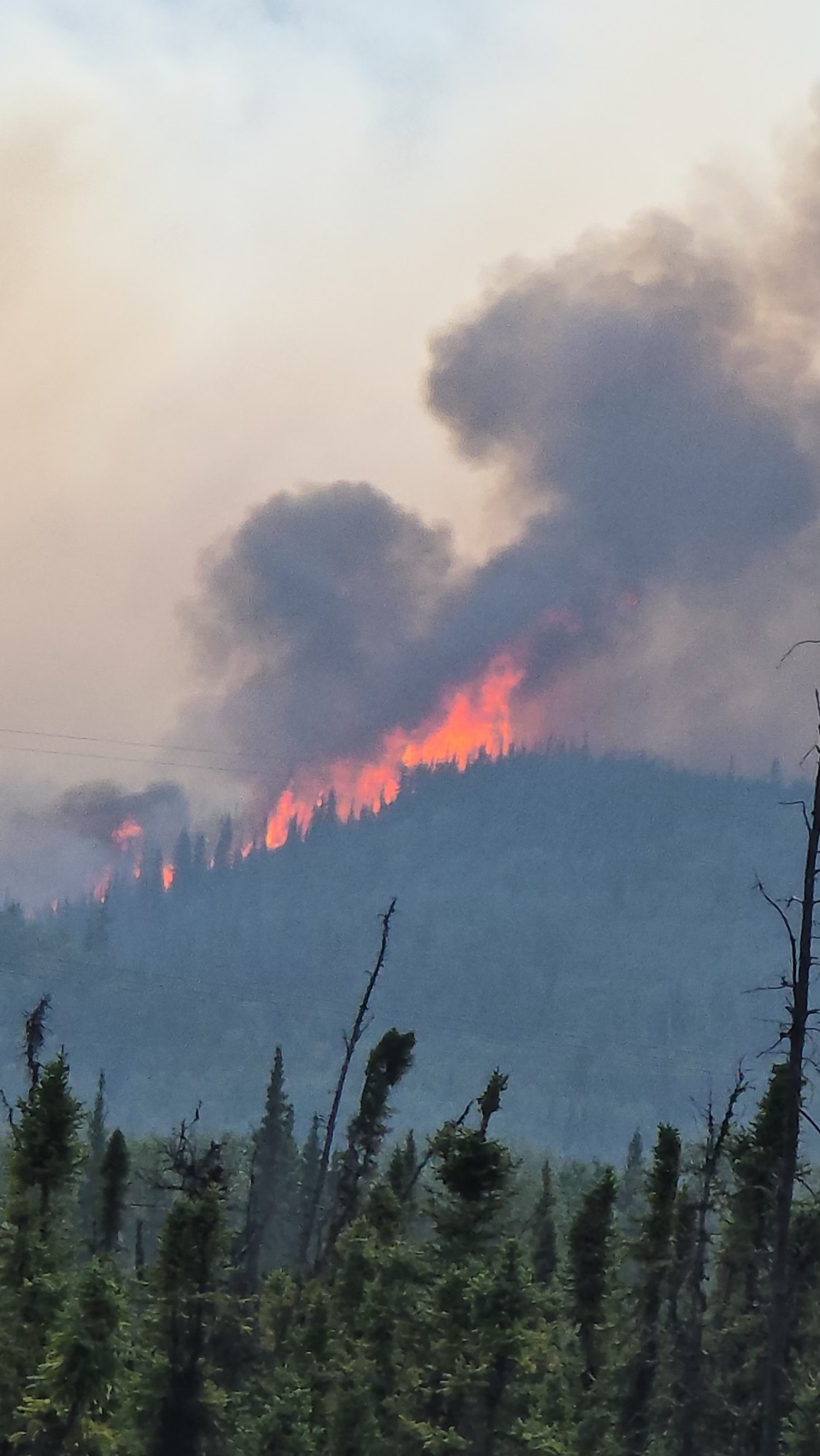 Alaska Wildland Fire Information – akfireinfo.com