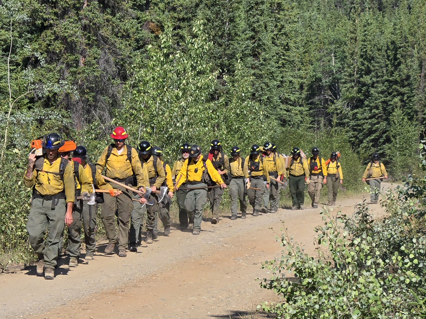 Alaska Wildland Fire Information – akfireinfo.com