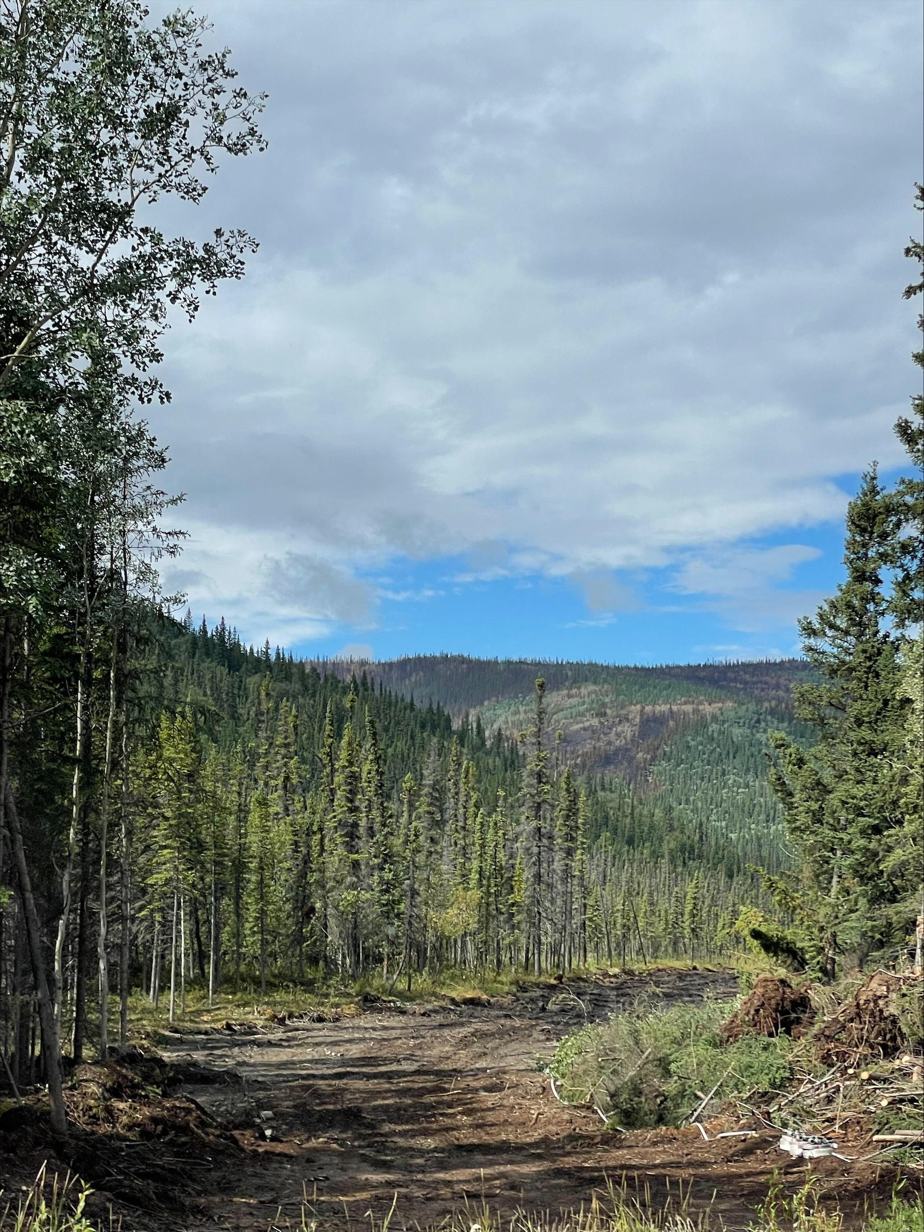 Much needed rain helps firefighters on the 7 Mile Lookout Fire (#222 ...