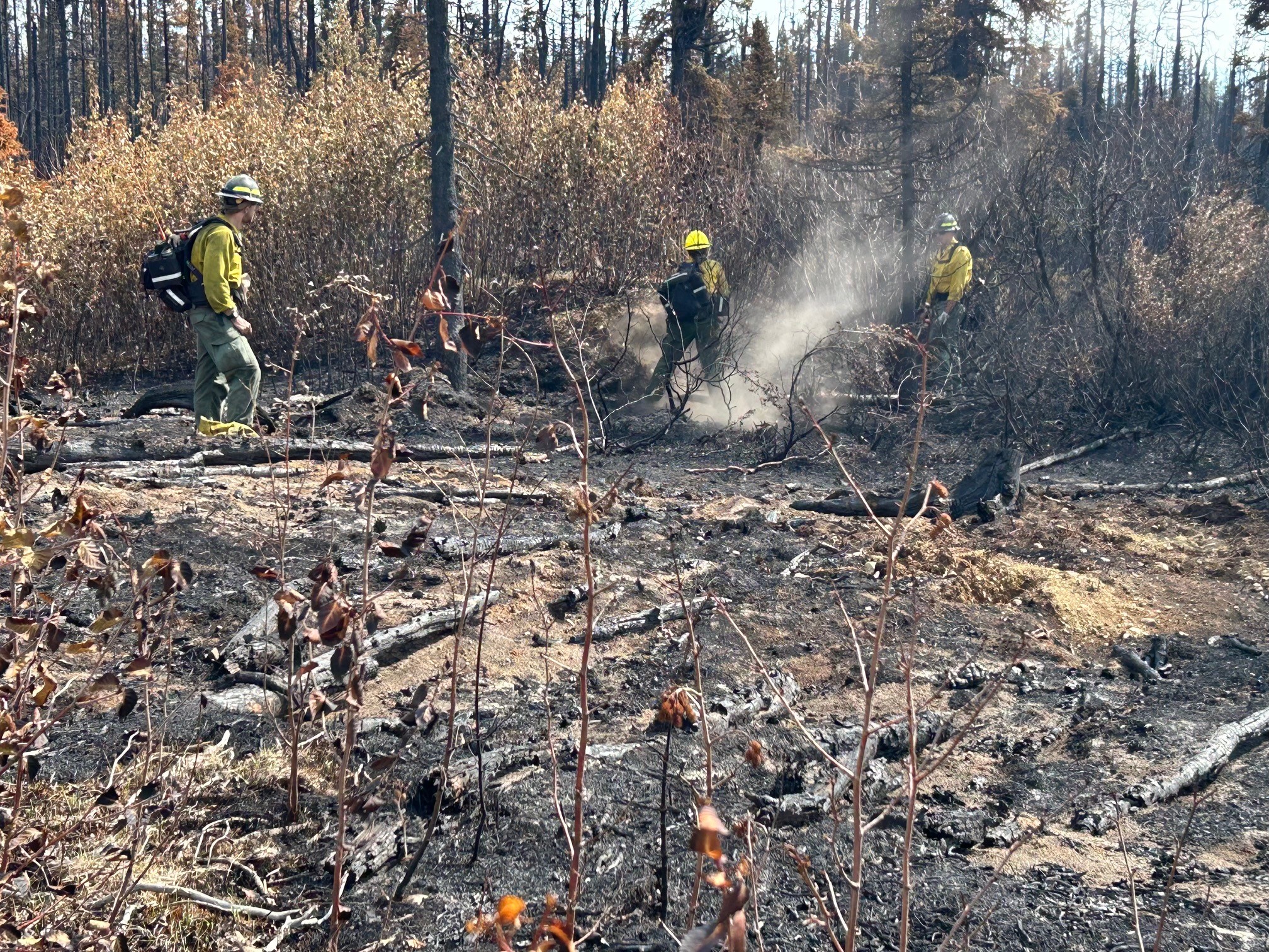 Firefighters continue to support as fire activity picks up on 7 Mile ...