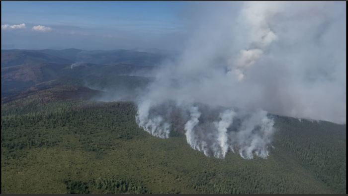 Holding the line while the weather shifts on the Twelvemile Lake Fire ...