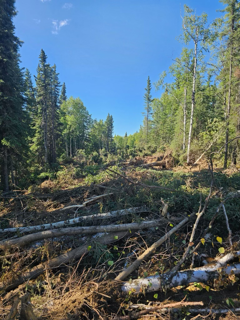 Nenana Ridge Complex – Alaska Wildland Fire Information