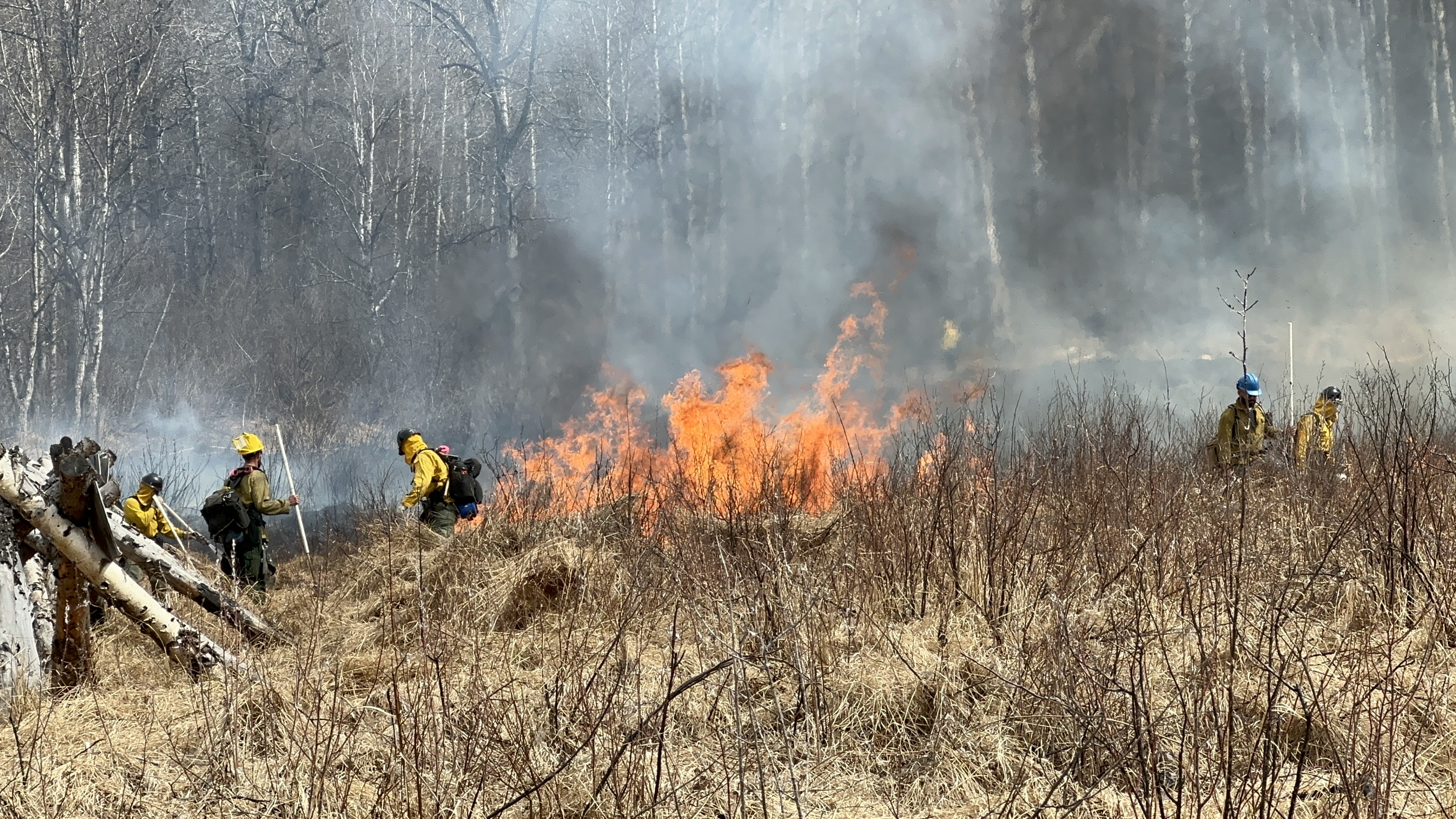 Prescribed Burn Planned for Matanuska Moose Range in May 2026 – Alaska ...