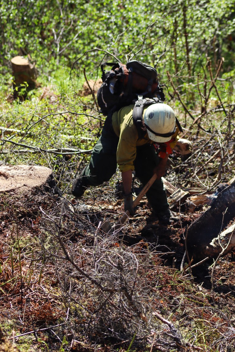 Mastadon Fire Reaches 100% Containment – Alaska Wildland Fire Information