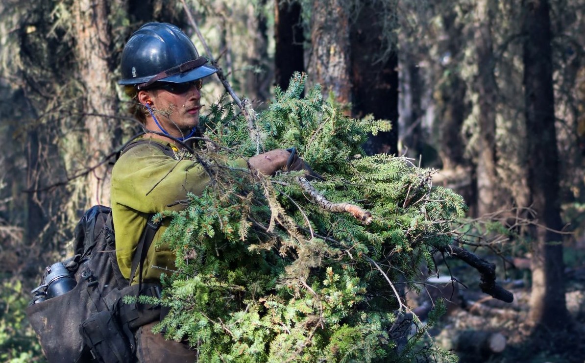 Mukluk Fire evacuation area shrinks – Alaska Wildland Fire Information