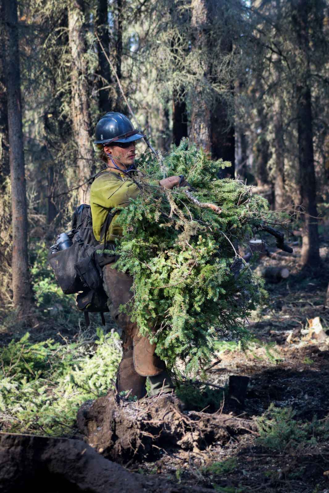 Mukluk Fire evacuation area shrinks – Alaska Wildland Fire Information